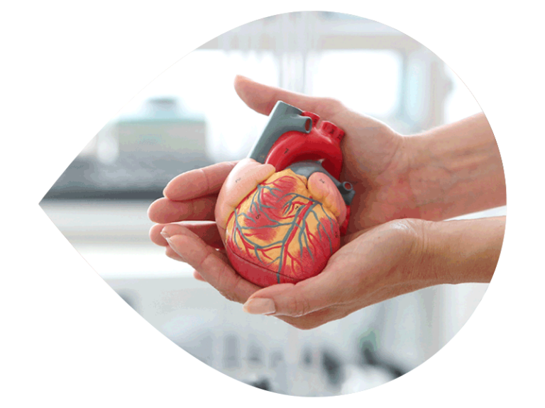 Praxisteam – Kardio Leipzig